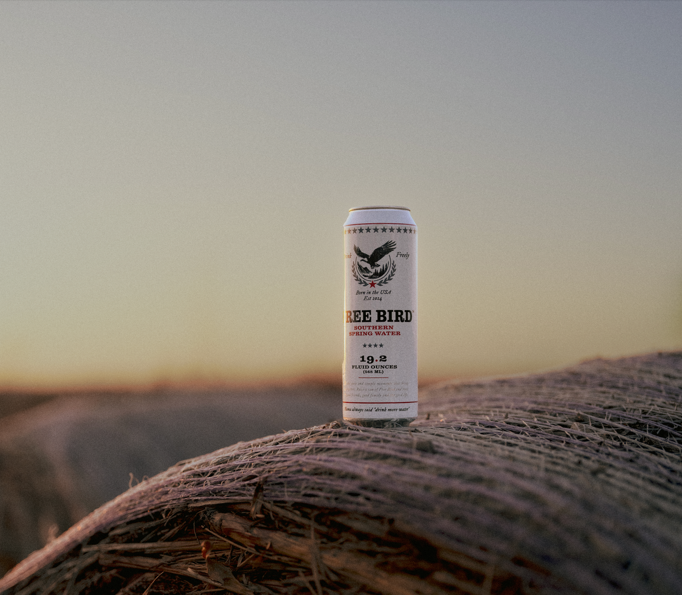 Free Bird | Southern Spring Water